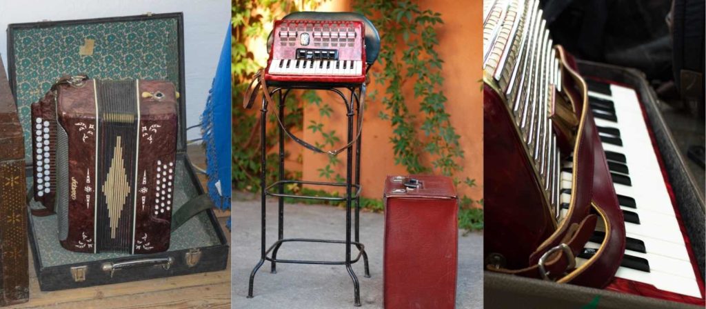 Best hard and soft cases for your accordion – Accordion Buyer's Guides ...